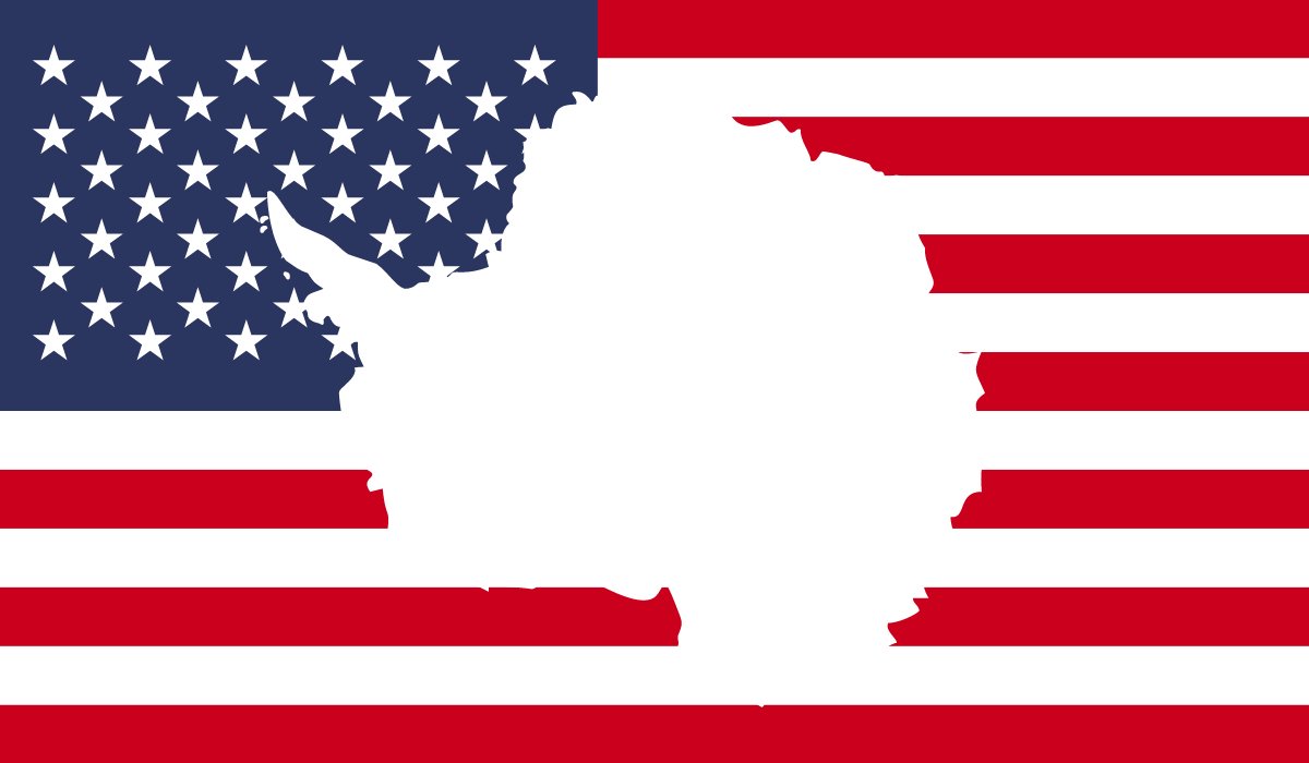 Fake Flag - Antarctica x United States