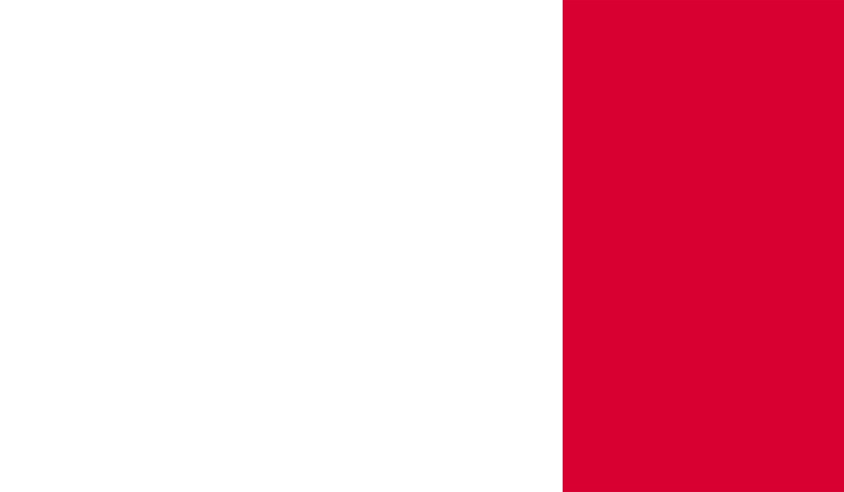 Fake Flag - France
