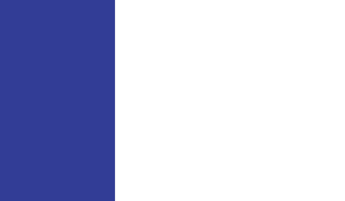 Fake Flag - France