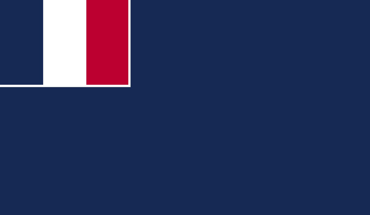 Fake Flag - French ST