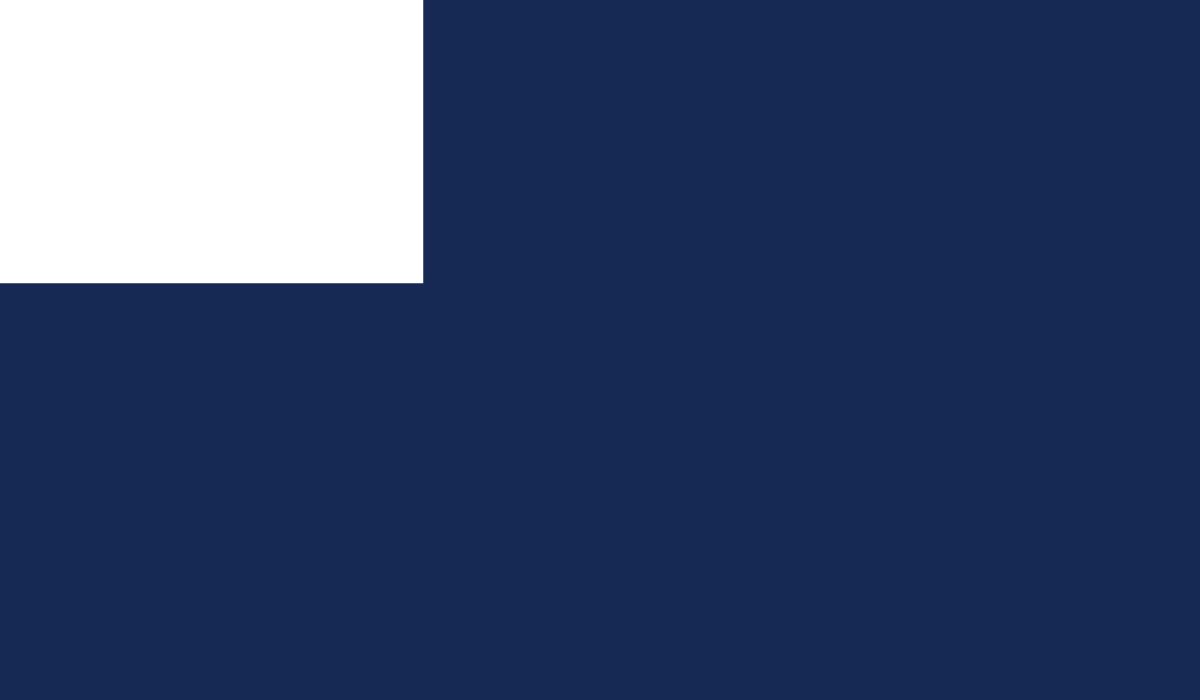 Fake Flag - French ST