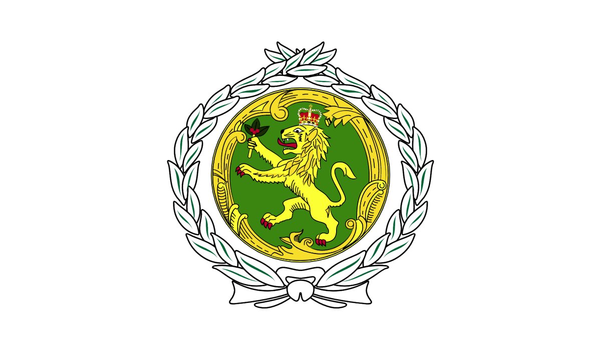 Fake Flag - Arab League x Alderney